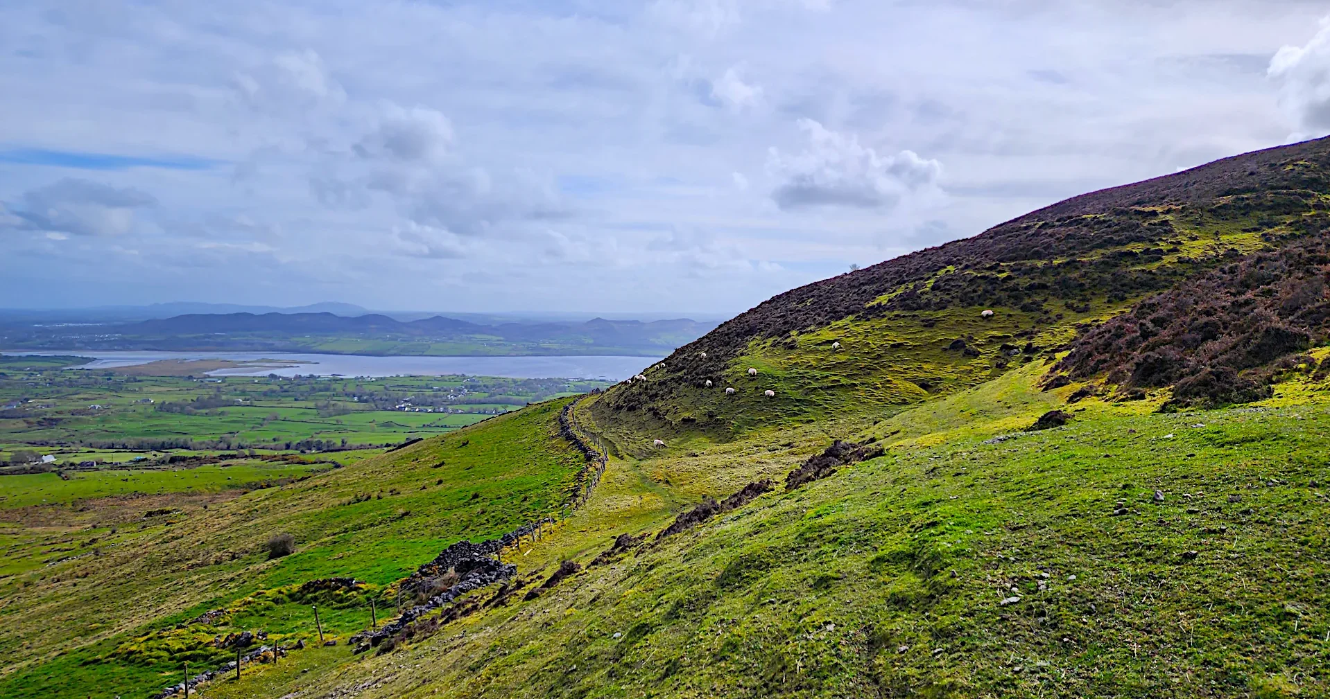 Leitrim Books - Celebrating the Literary Voices of County Leitrim
